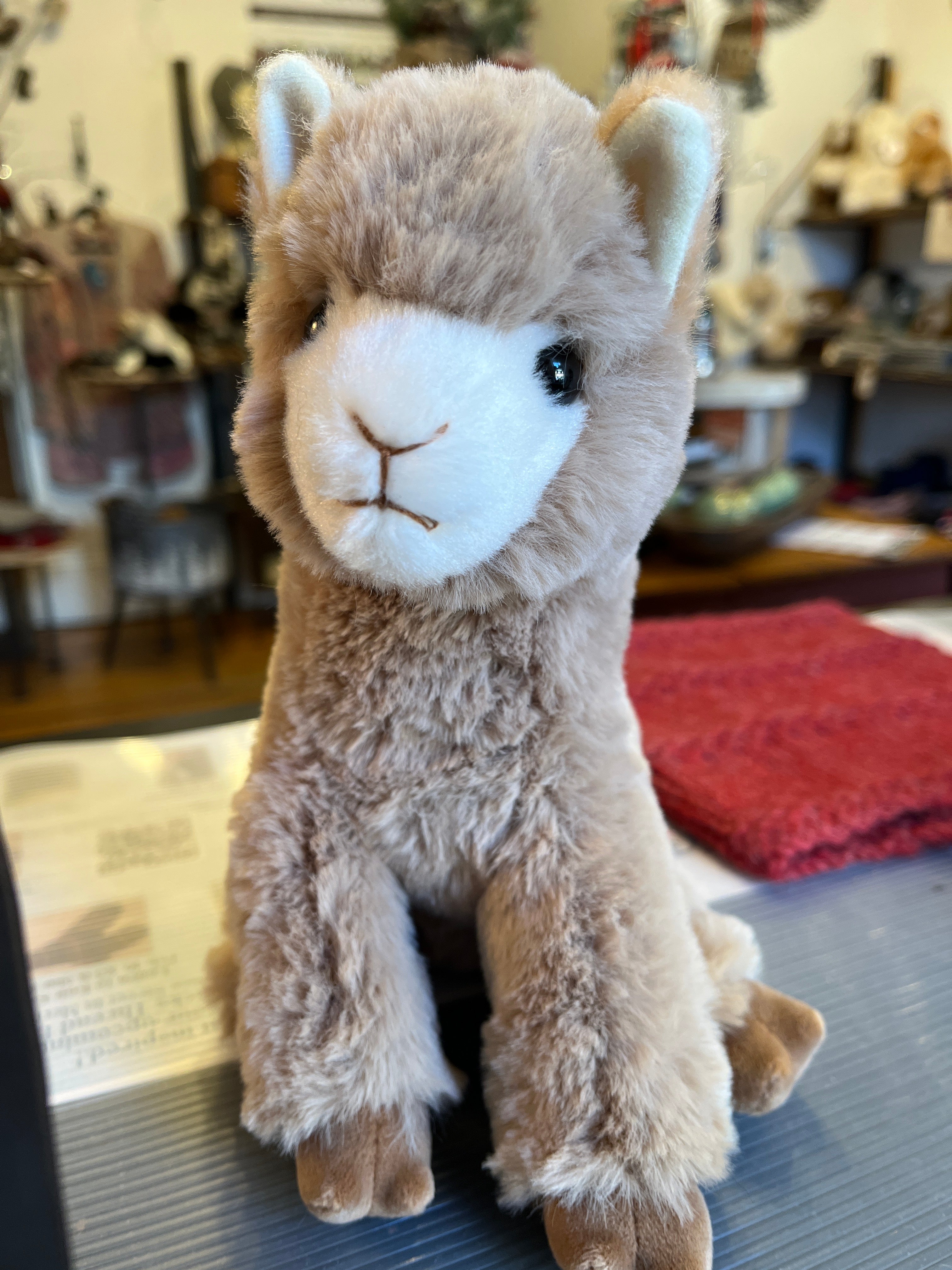Pete the Alpaca – Alpaca-Tracks